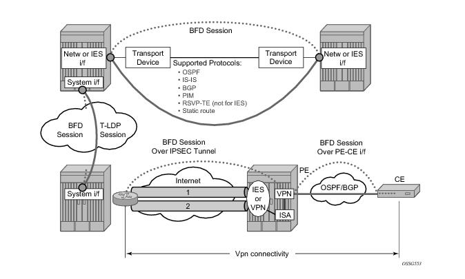Bi-Directional Forwarding Detection